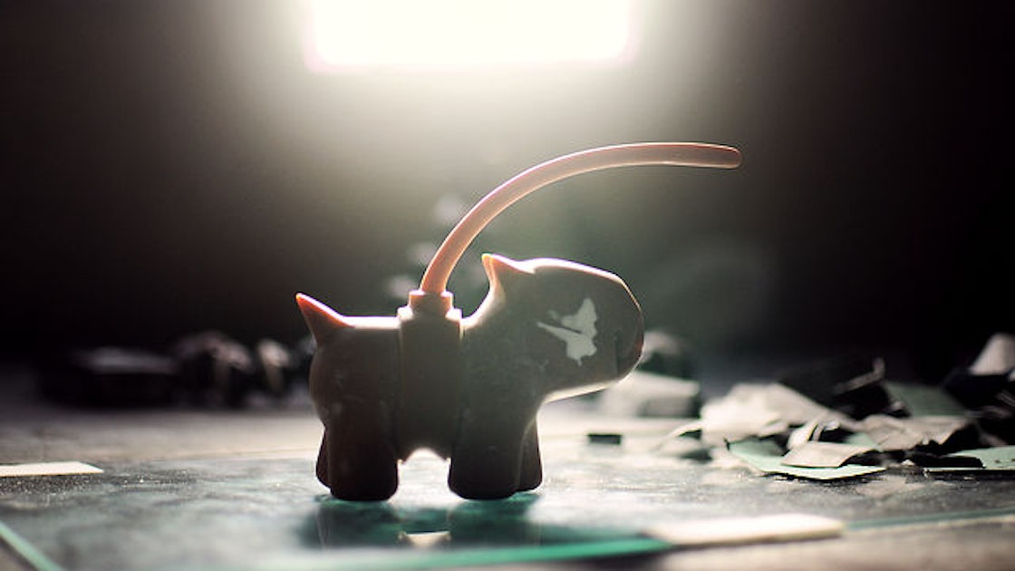 Chasing Bones | www.splicetoday.com