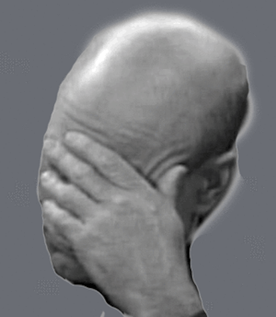 Hey, 2005? Your Meme Is Calling | www.splicetoday.com