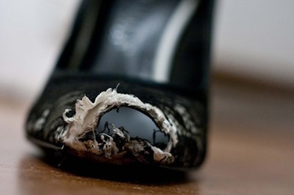 Something Like Puppy Love | www.splicetoday.com