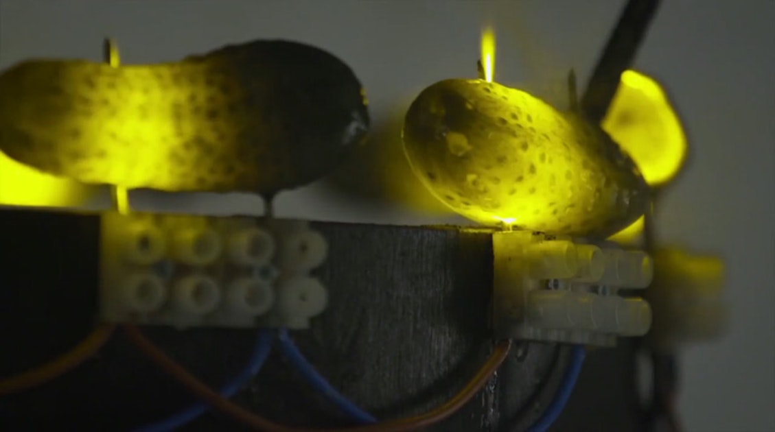 Pickle Power | www.splicetoday.com