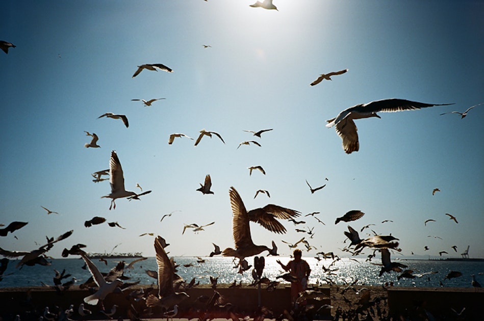 If It Tastes Good, Spit It Out | www.splicetoday.com