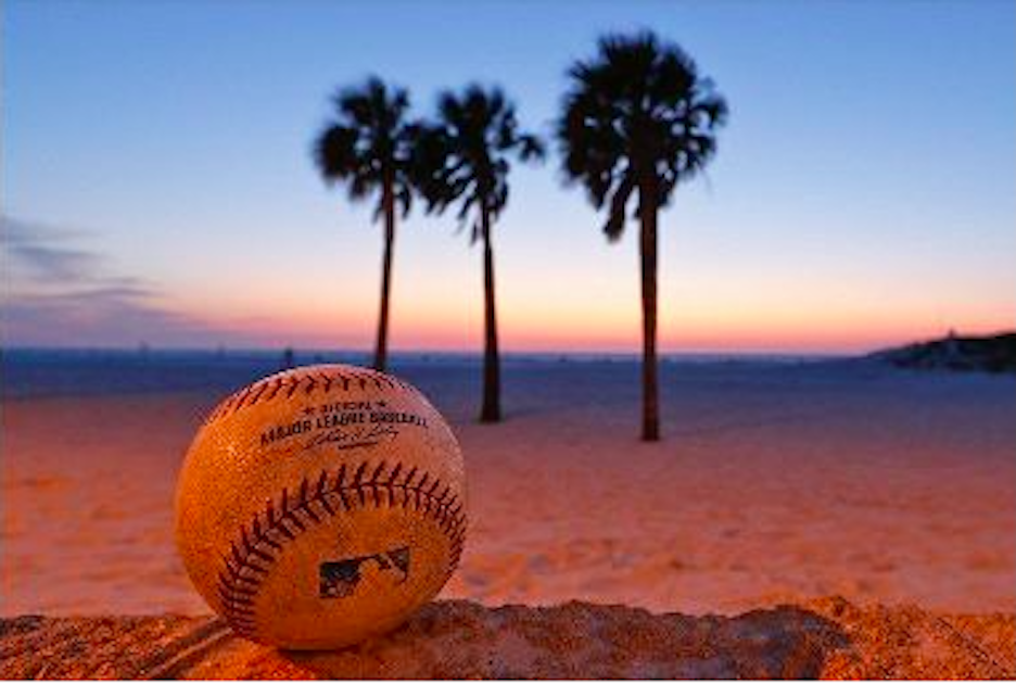 Florida Spring Training Rules | www.splicetoday.com