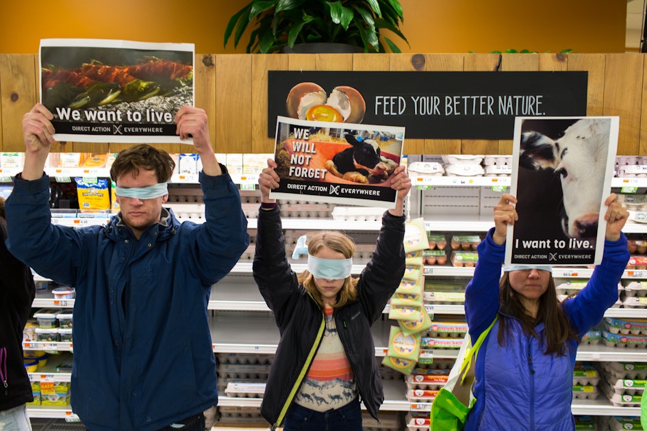 DxE Organizer Talks Animal Activism | www.splicetoday.com