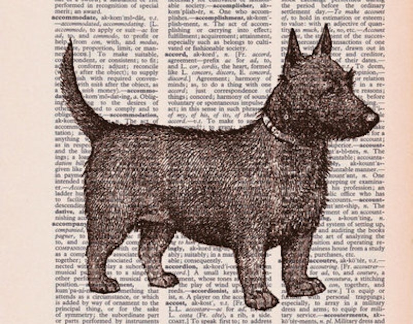 Trite vs. Banal | www.splicetoday.com