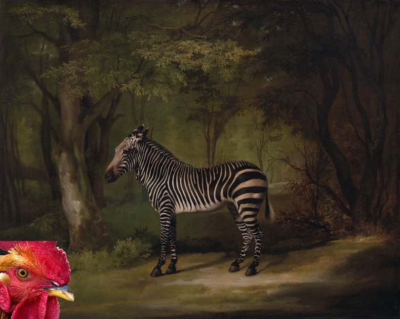 Mr. Ed Was a Zebra | www.splicetoday.com