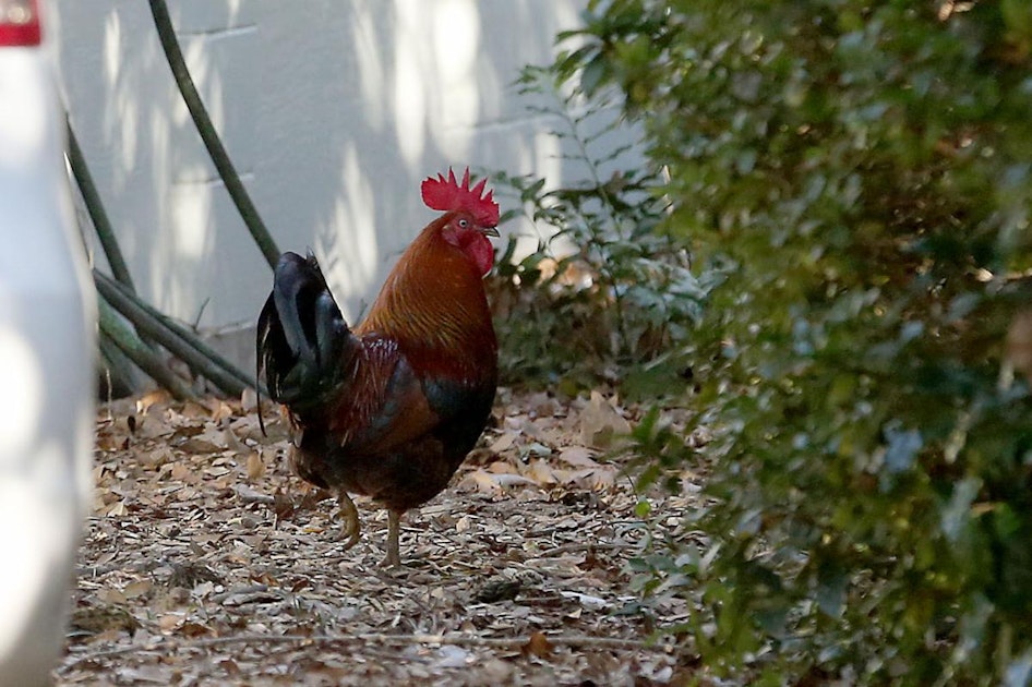 Fawning Season | www.splicetoday.com