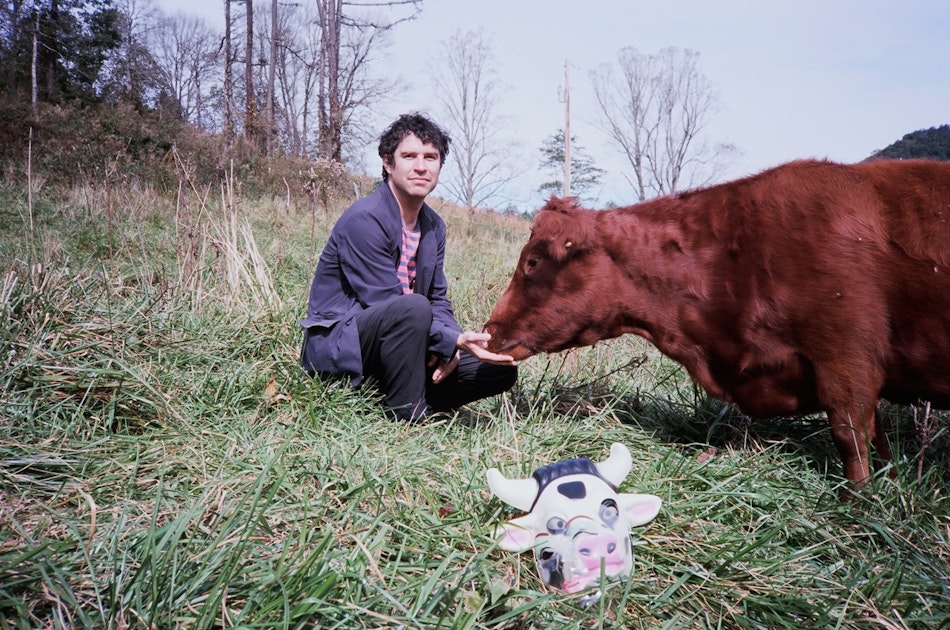 Cow Tipping | www.splicetoday.com