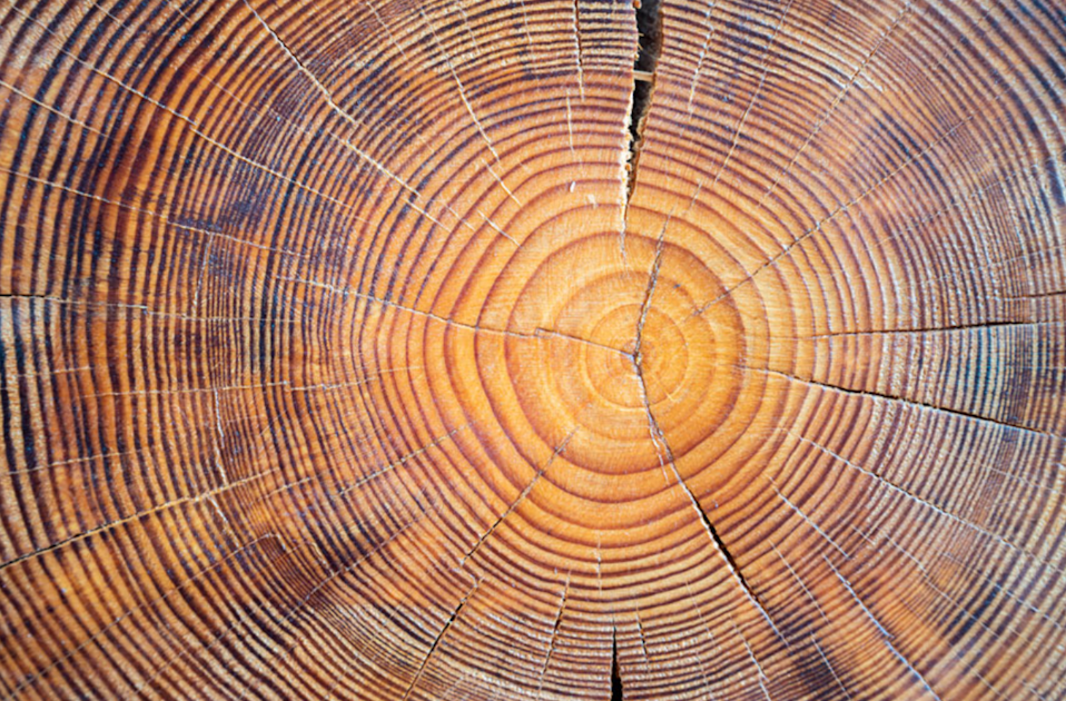 The Interstices Between Known Worlds | www.splicetoday.com