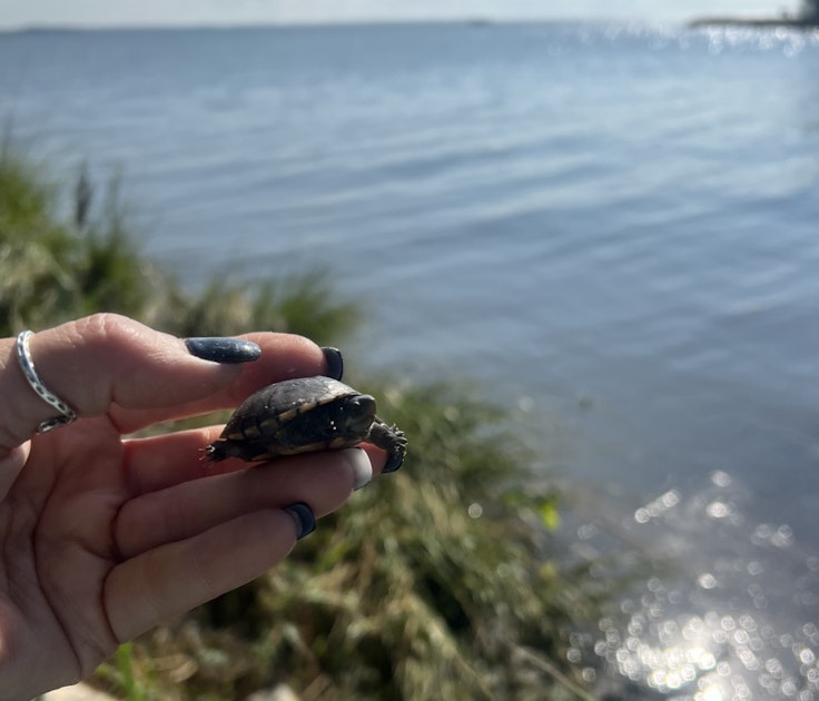 Learning To Say Goodbye