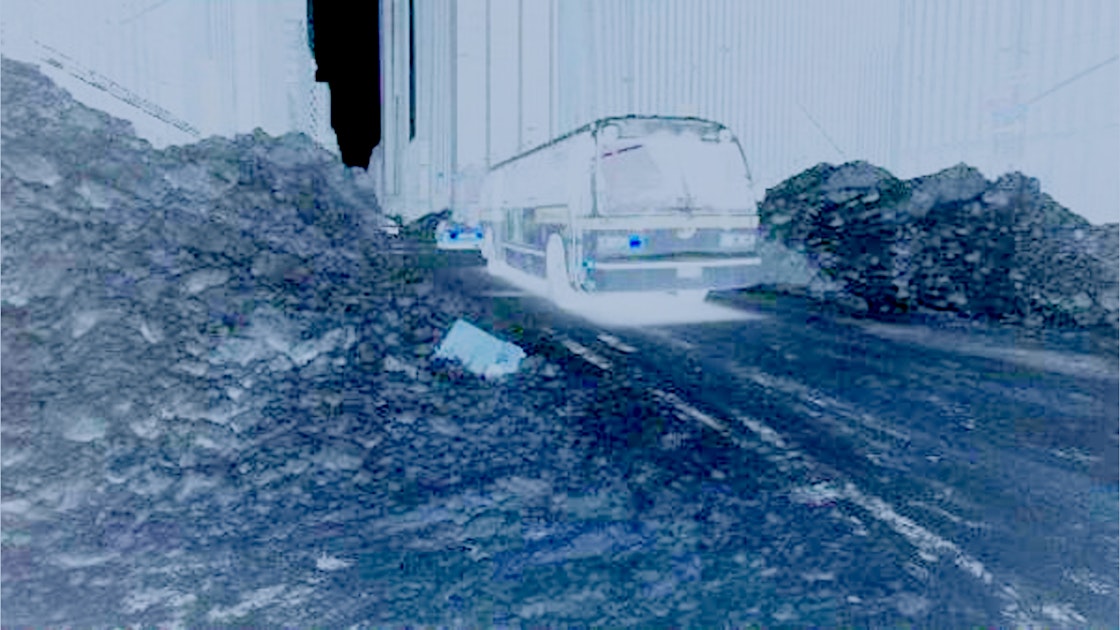 Veronica’s Paul, Veronica’s Pumpkins | www.splicetoday.com