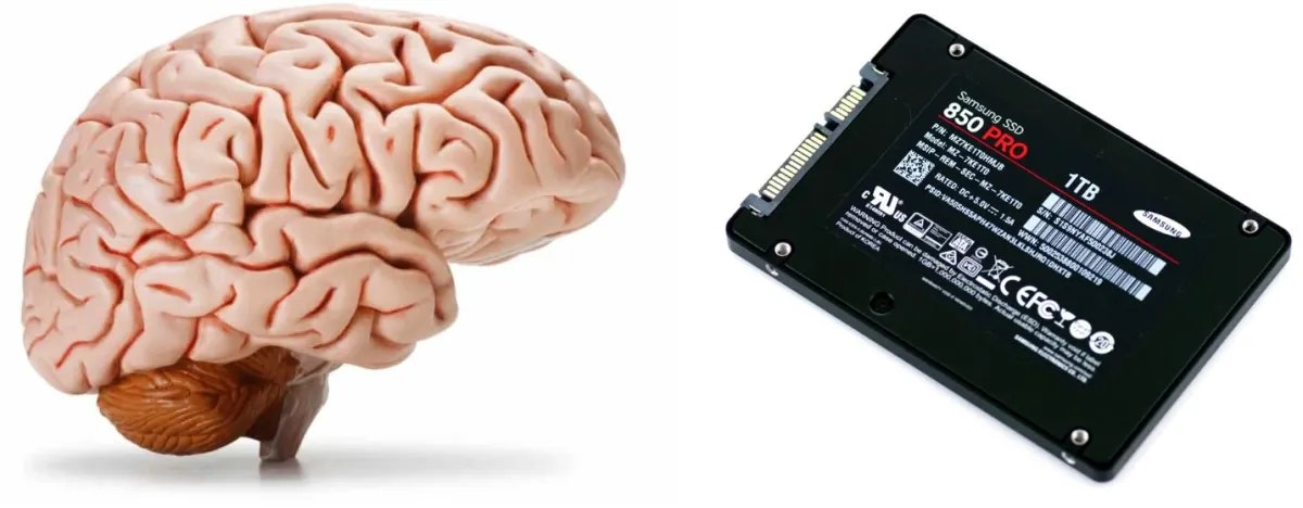 How To Improve Your Memory, Part 2 | www.splicetoday.com