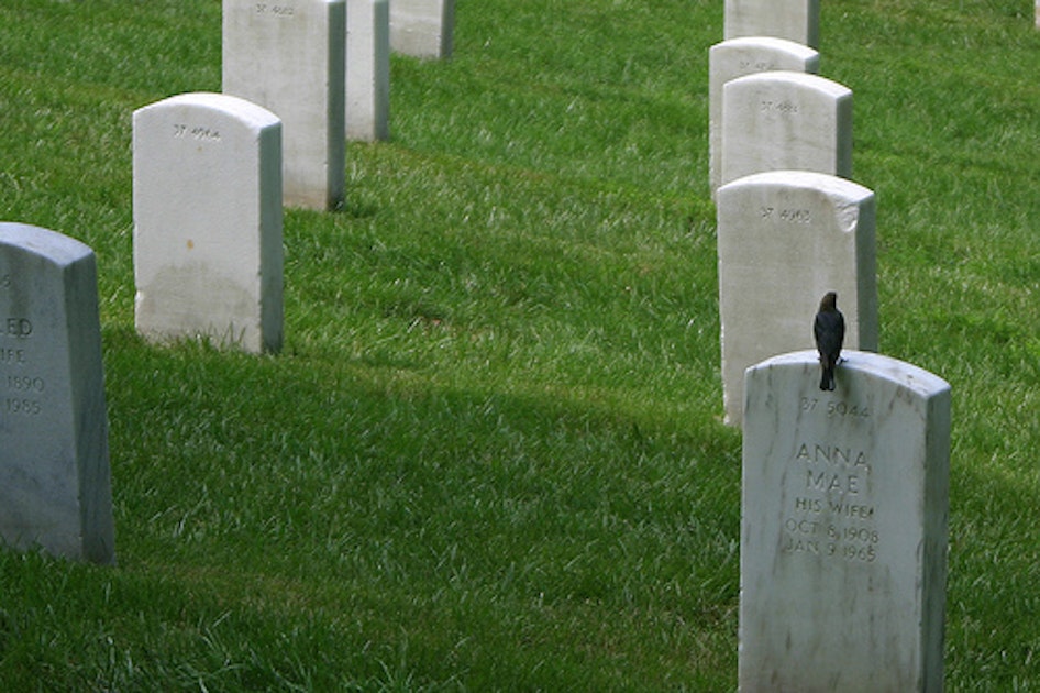 Foxhole Atheists | www.splicetoday.com